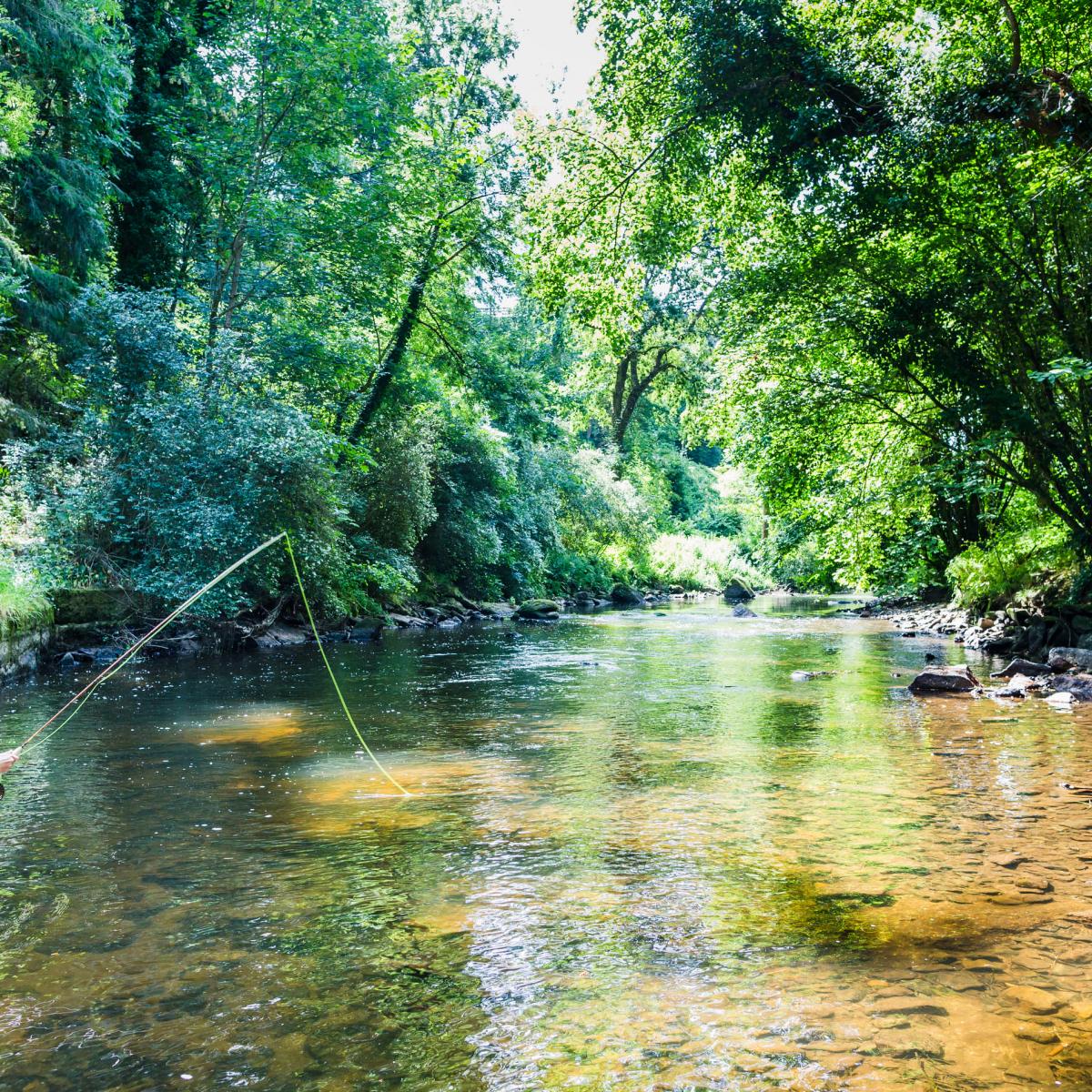 Trébeurden | Office de Tourisme de la Côte de Granit Rose