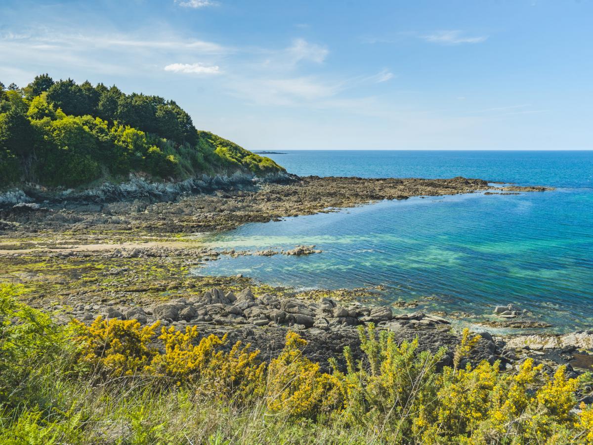 La plage à marée basse | Office de Tourisme de la Côte de Granit Rose