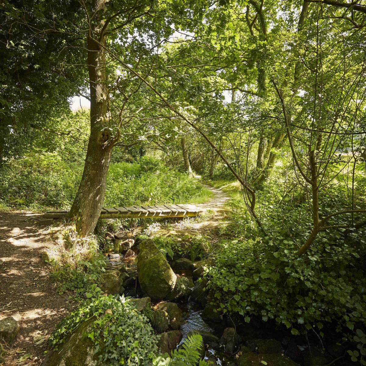 Bretagne sauvage : top 7 des lieux à explorer sur la Côte de Granit Rose